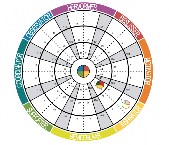 Insights Discovery - CJ Consult